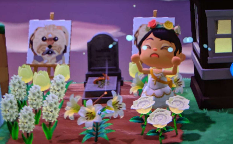 NVM - Animal Crossing